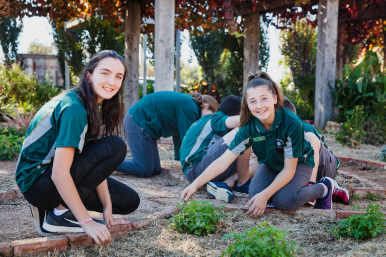 Respectful Relationships - Irymple South Primary School